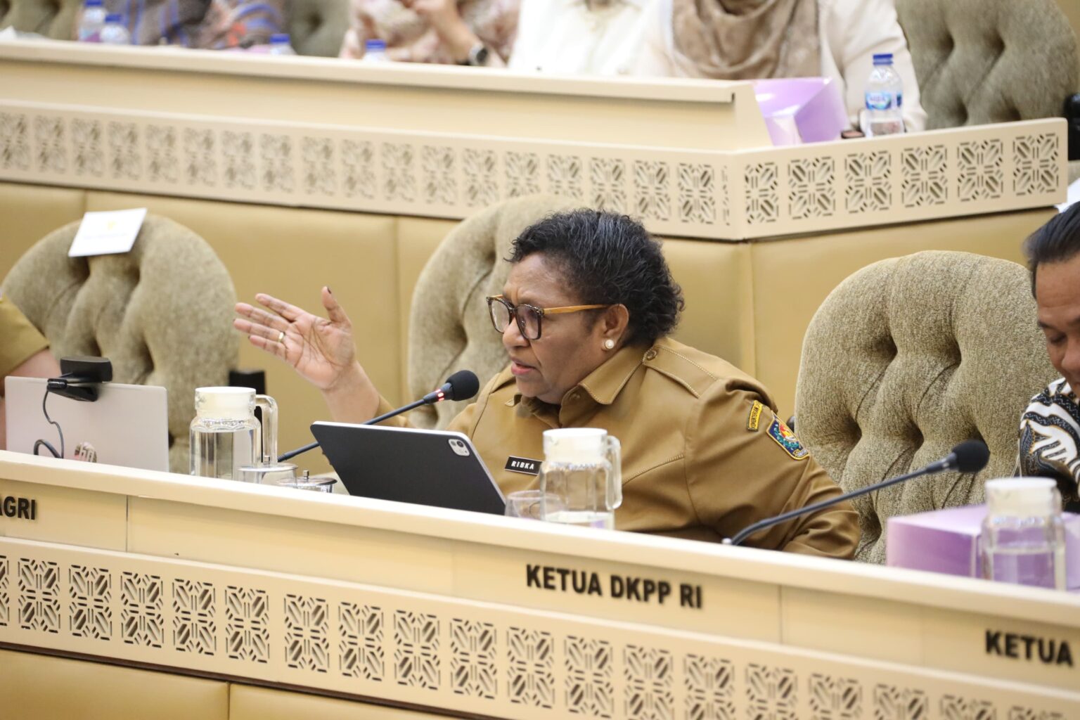 Ribka Haluk Jelaskan Langkah Kemendagri Mitigasi Potensi PSU Berulang